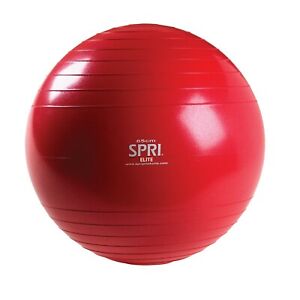 Spri Pro Plus Exercise Ball 65cm | Rocky Mountain Fitness - Kelowna ...